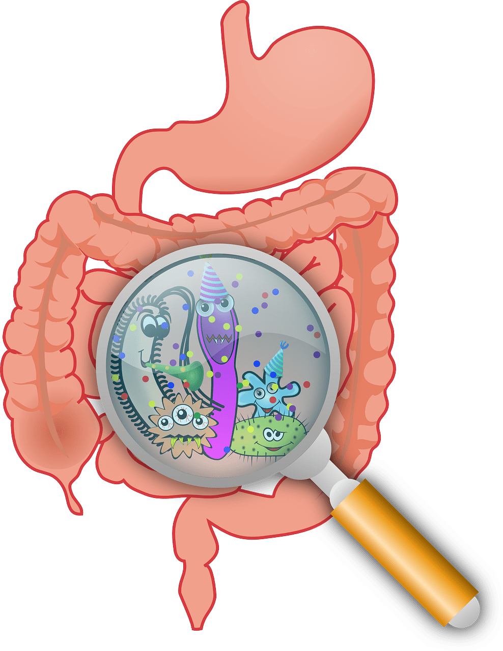 Unlocking The Secrets Of Melatonin Beyond Sleep Regulation To Unlocking The Secrets Of Melatonin Beyond Sleep Regulation To